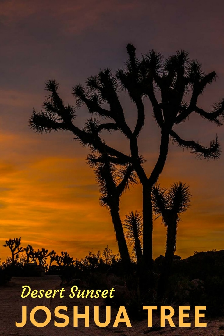 Desert Sunset, Joshua Tree, California - Travel Past 50