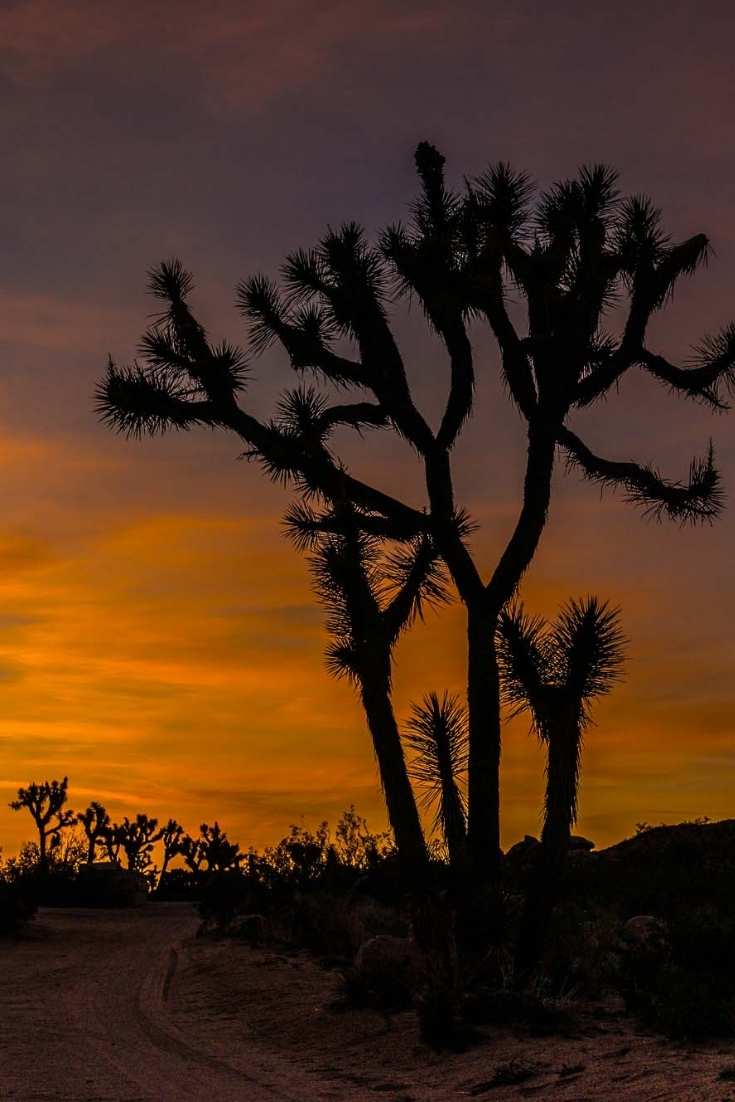 Desert Sunset, Keys View, Joshua Tree, California - Travel Past 50