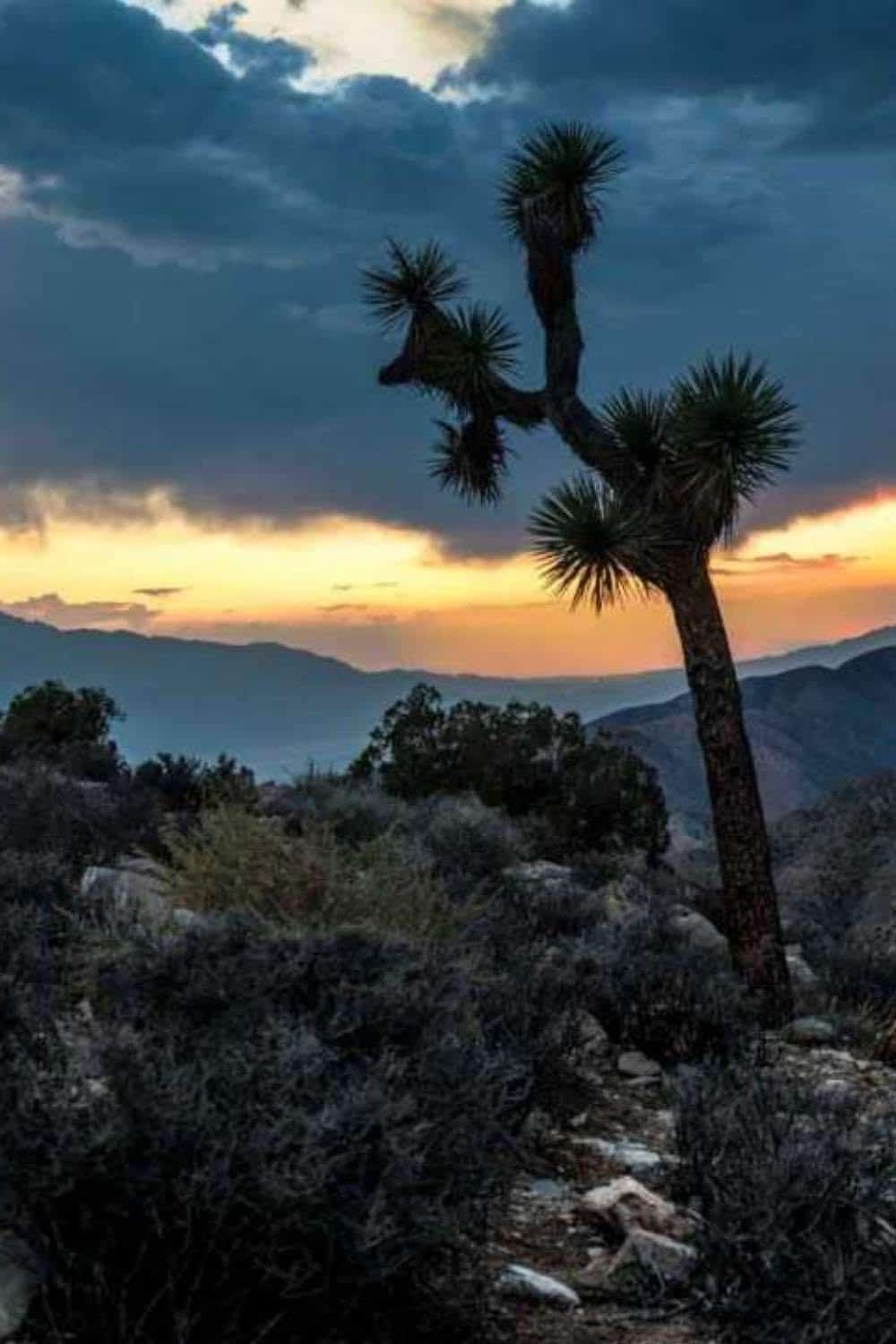 Desert Sunset, Keys View, Joshua Tree, California - Travel Past 50